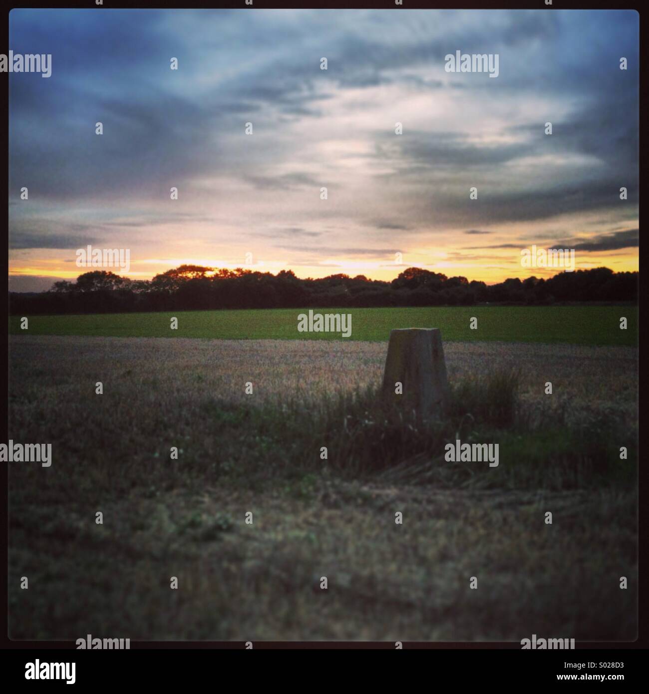 Trig point in a field Stock Photo - Alamy