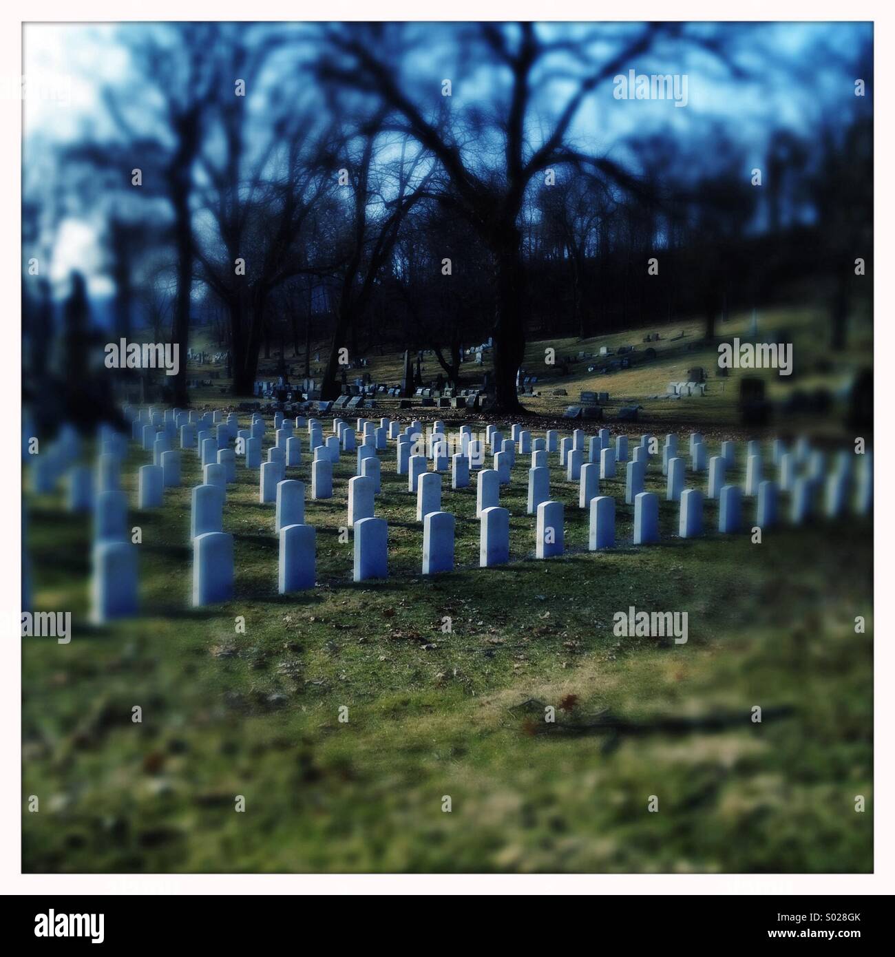 Soldiers at cemetery hi-res stock photography and images - Alamy