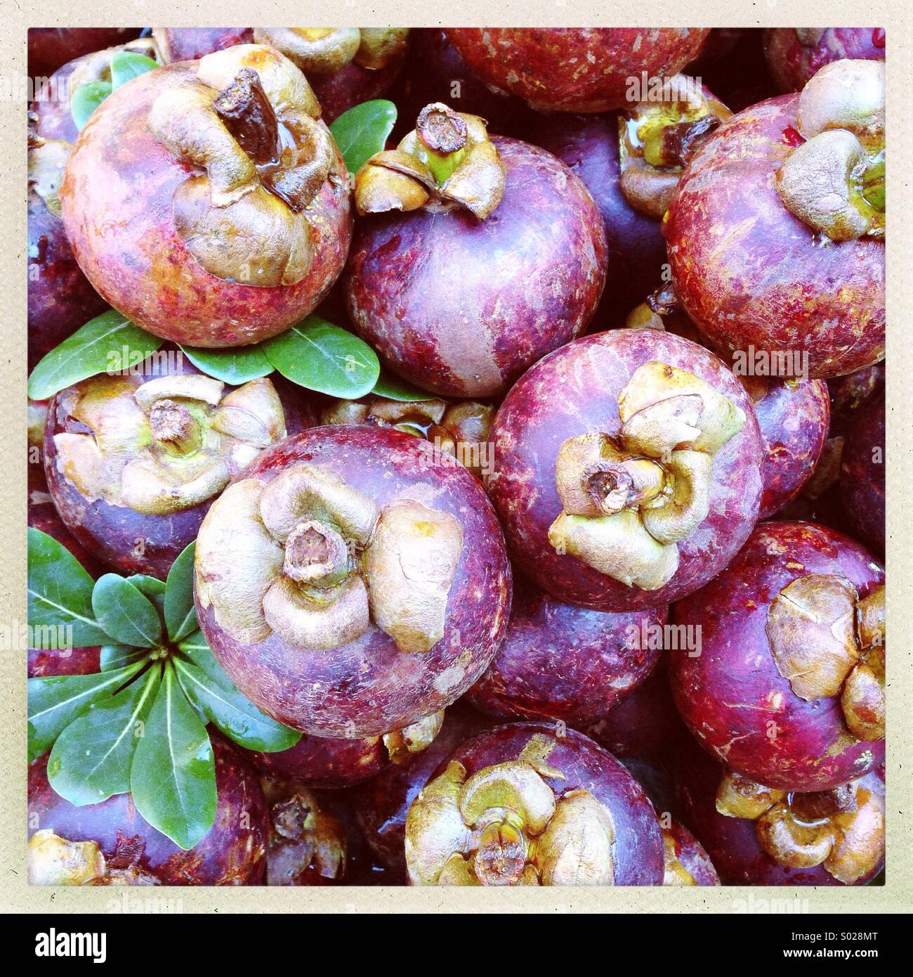 Chineese hi-res stock photography and images - Alamy