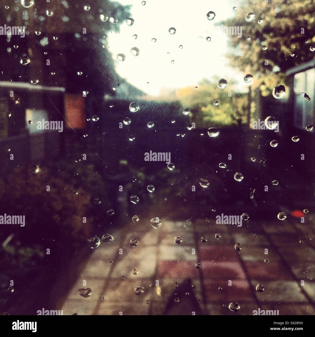 Raindrops Falling On My Face