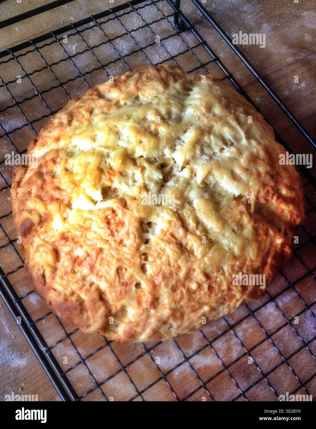 Freshly baked cheese scone Stock Photo - Alamy