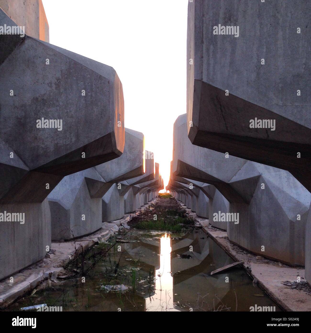 Long path hi-res stock photography and images - Alamy