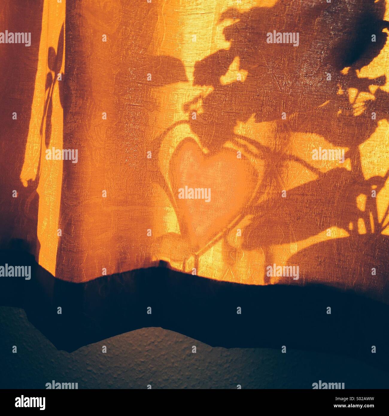 Shadow in a window Stock Photo - Alamy