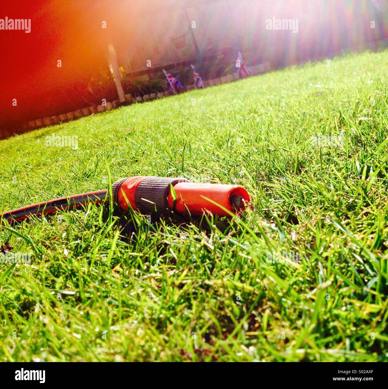 Hose on grass hi-res stock photography and images - Alamy
