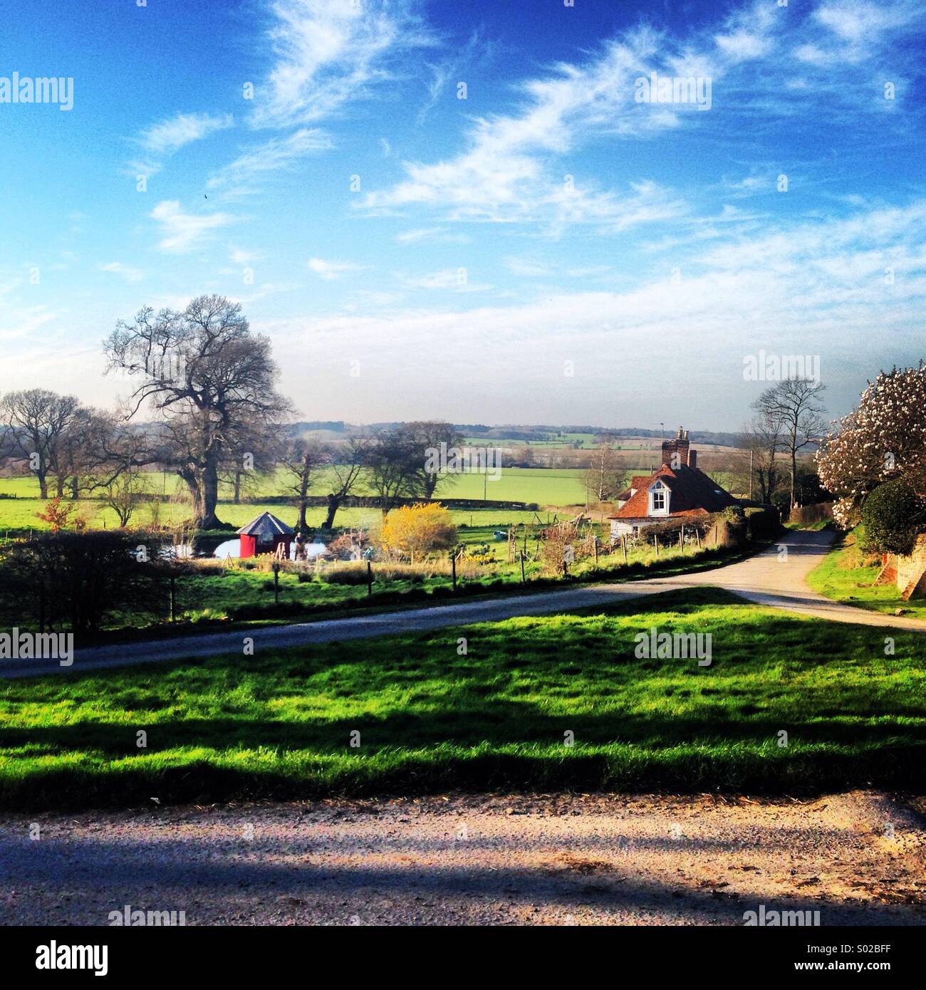 East Anglian countryside Stock Photo - Alamy