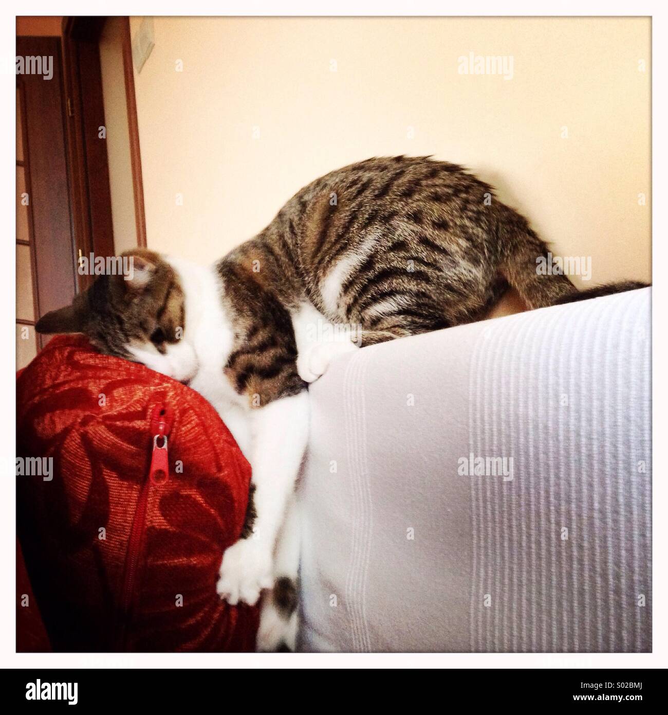 Akward High Resolution Stock Photography and Images - Alamy