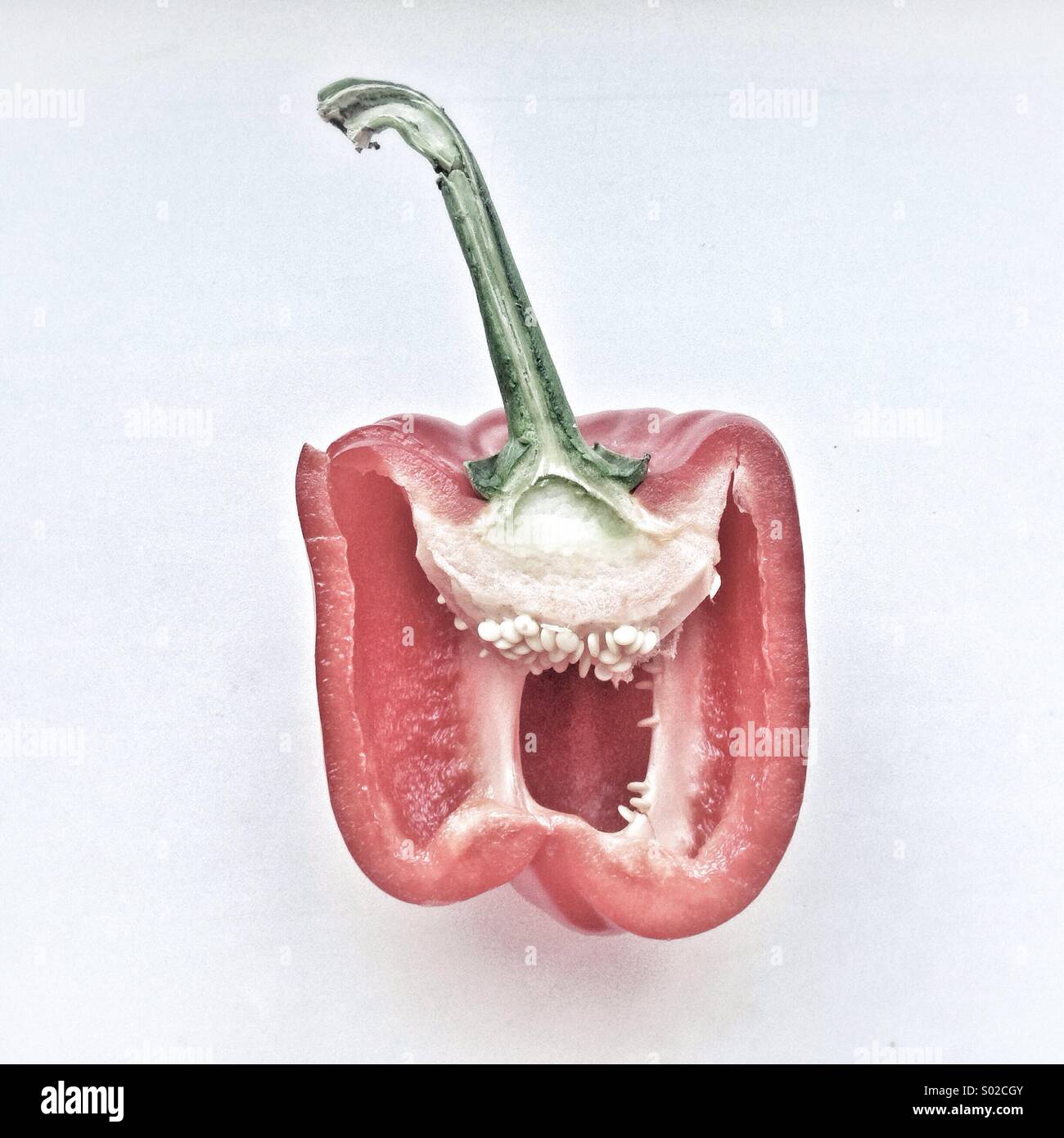 Pepper cut in half with seeds hi-res stock photography and images - Alamy