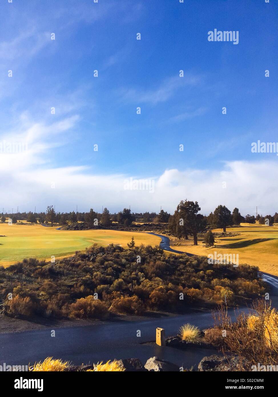 Juniper golf course hi-res stock photography and images - Alamy