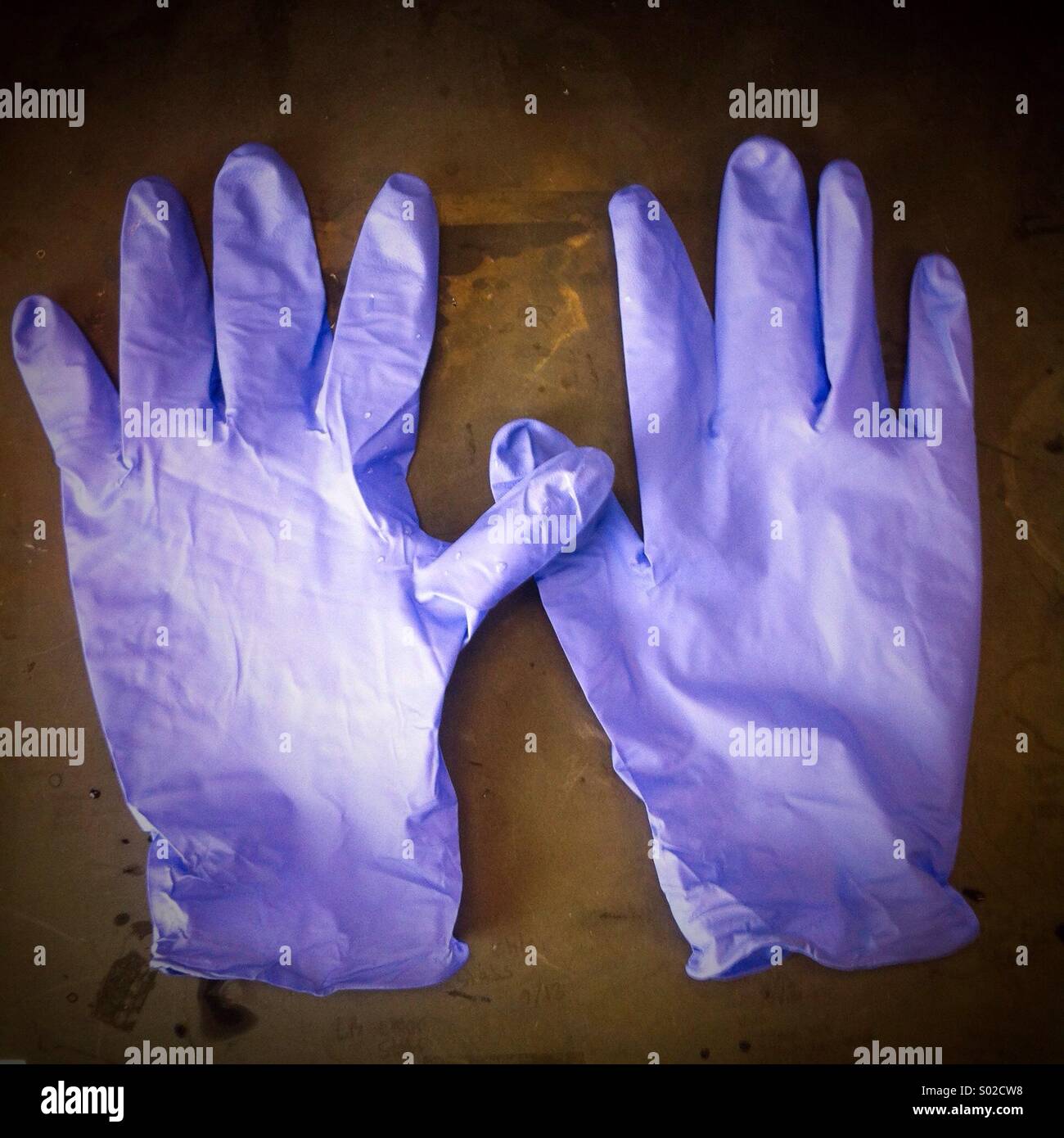 Purple nitrile gloves hi-res stock photography and images - Alamy