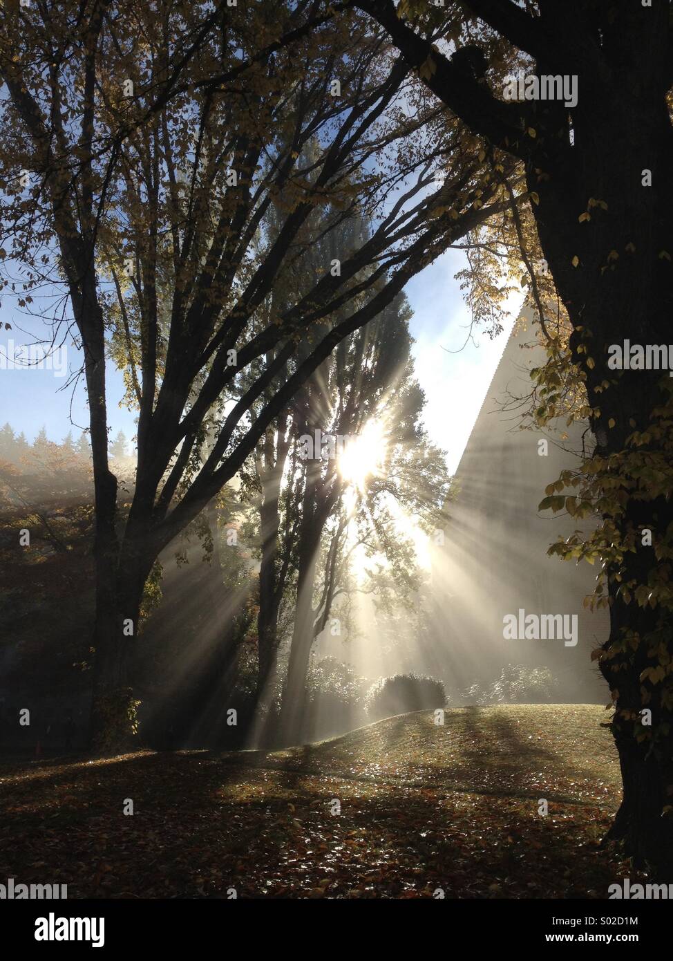 Beautiful morning sun rays hi-res stock photography and images - Alamy
