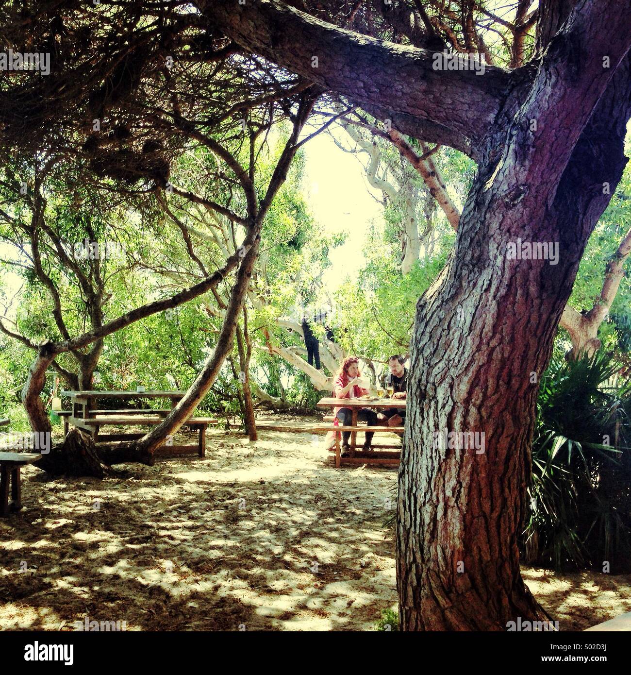 Picnic under trees hi-res stock photography and images - Alamy