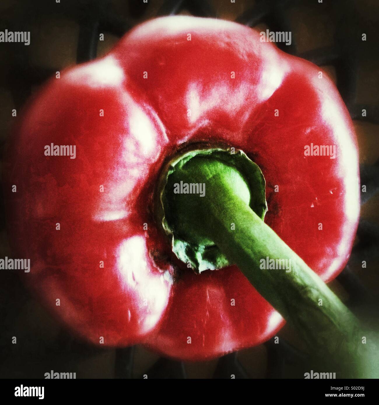 Vegetable filter hi-res stock photography and images - Alamy