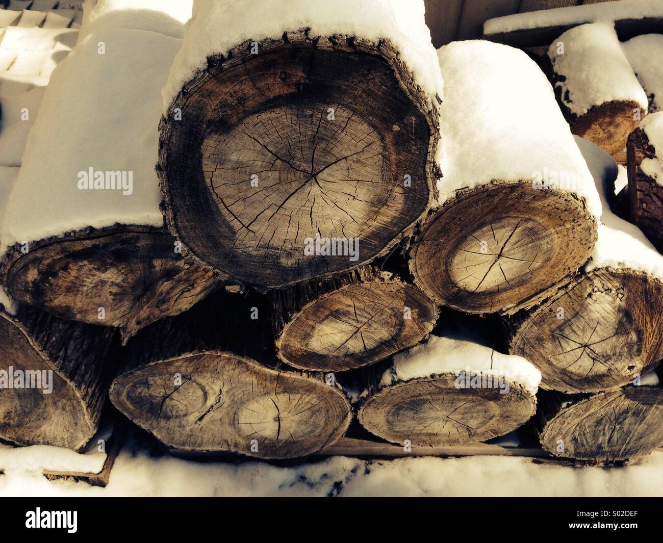 Very old logs hi-res stock photography and images - Alamy