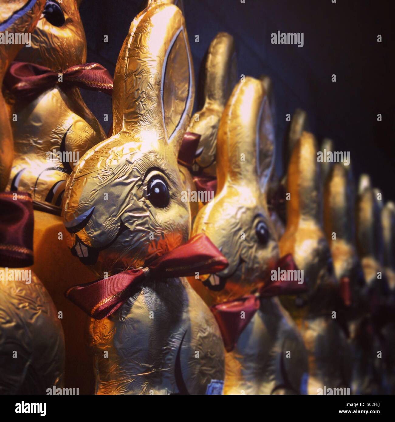 Gold rabbits hi-res stock photography and images - Alamy
