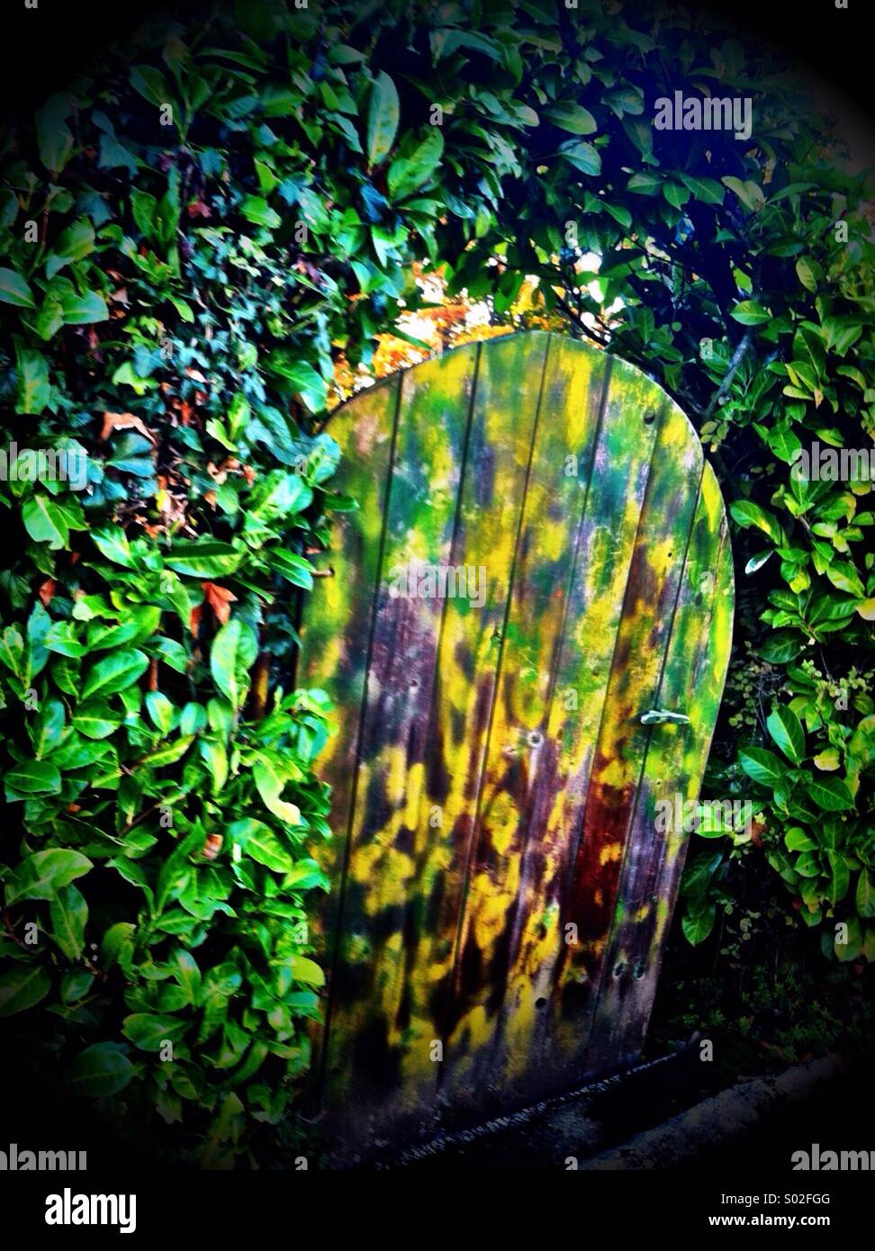 Mystery Gate High Resolution Stock Photography and Images - Alamy