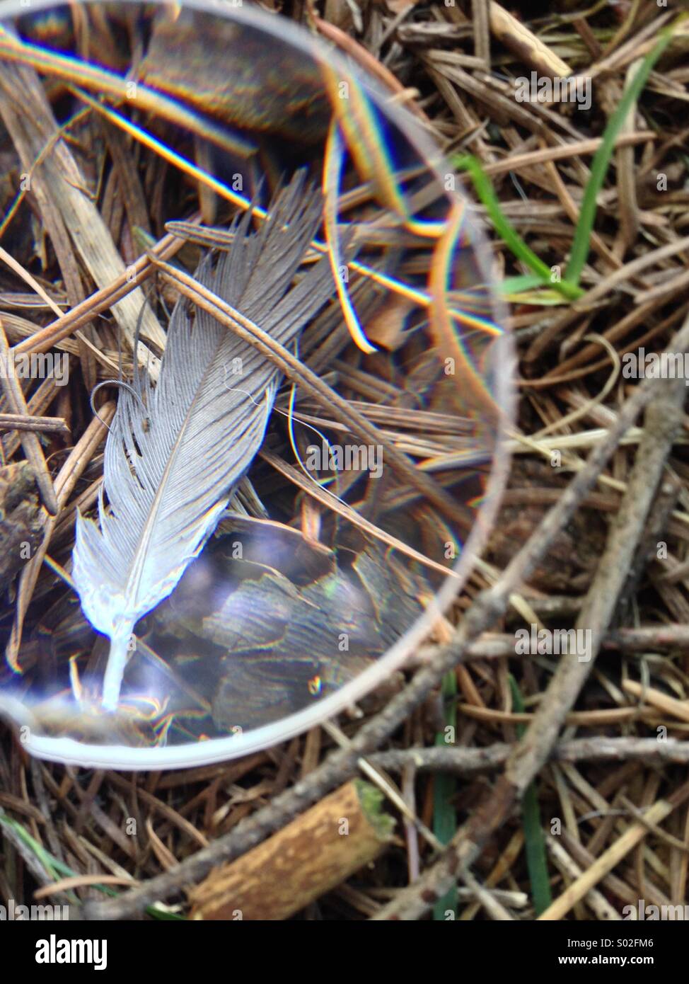Zoom magnify hi-res stock photography and images - Alamy