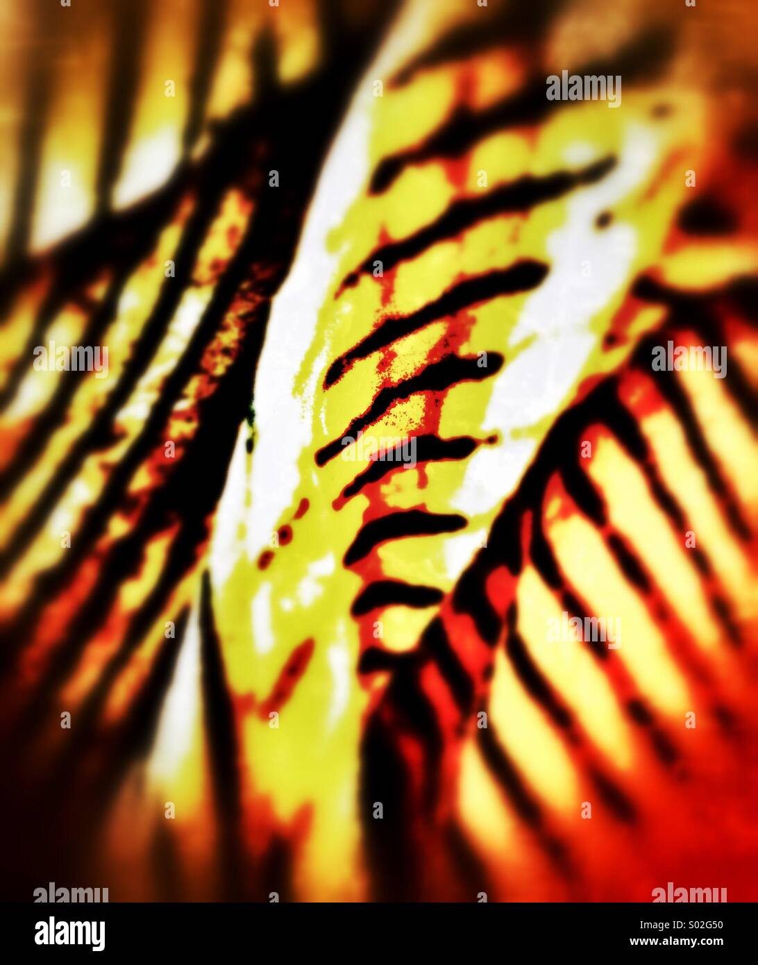 Abstract Jeopardised habitat Stock Photo - Alamy