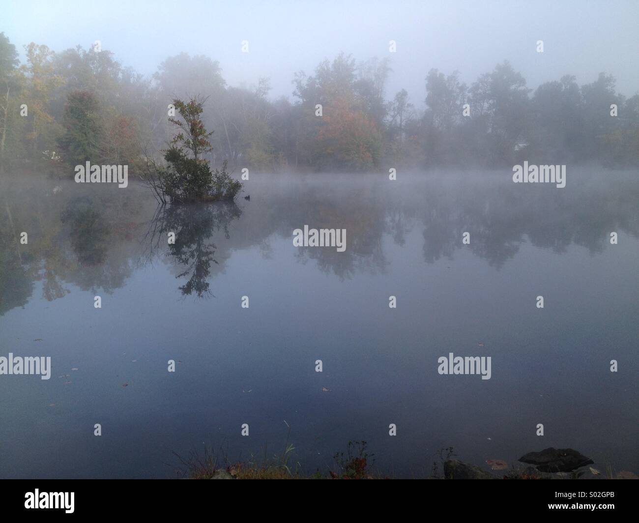 Misty morning trees hi-res stock photography and images - Alamy