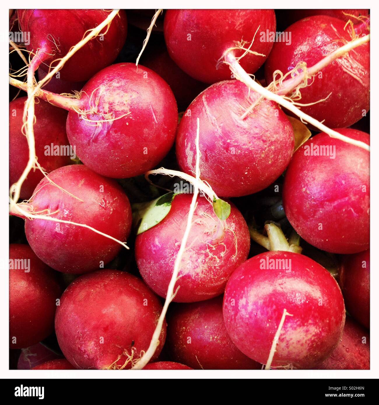 Crunchy radishes hi-res stock photography and images - Alamy