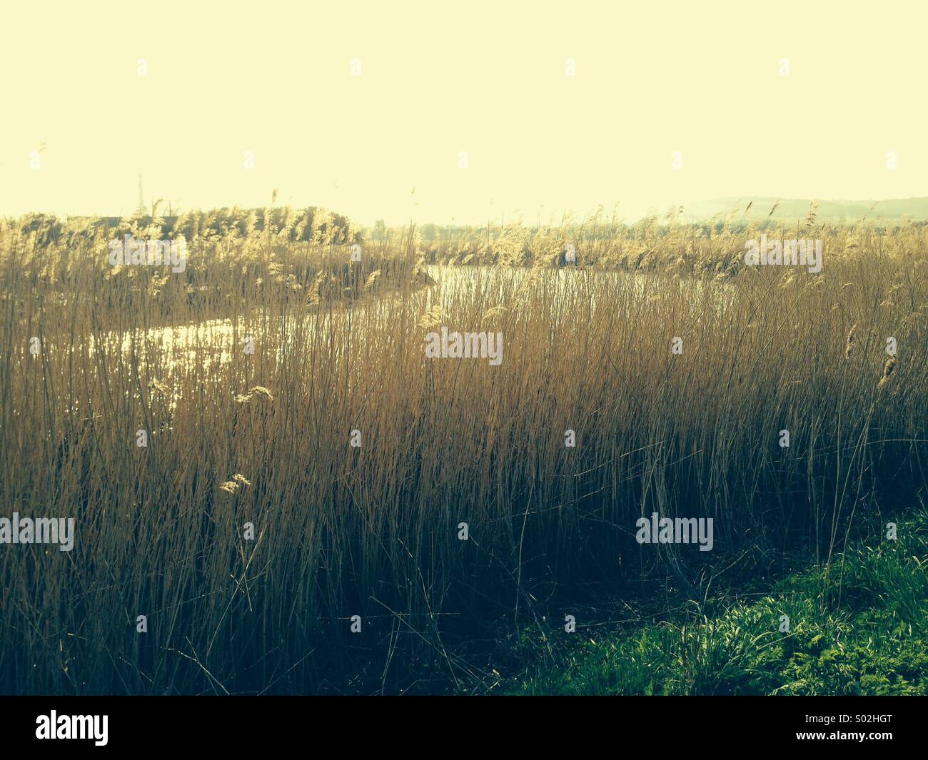 Bend in the river hi-res stock photography and images - Alamy