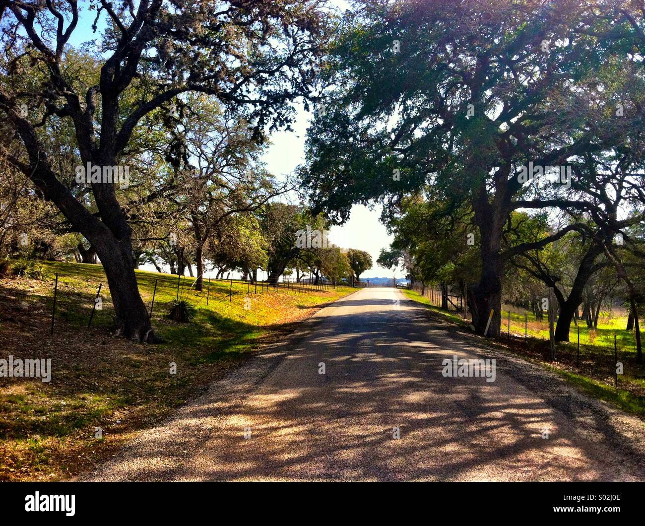 Texas road hi-res stock photography and images - Alamy