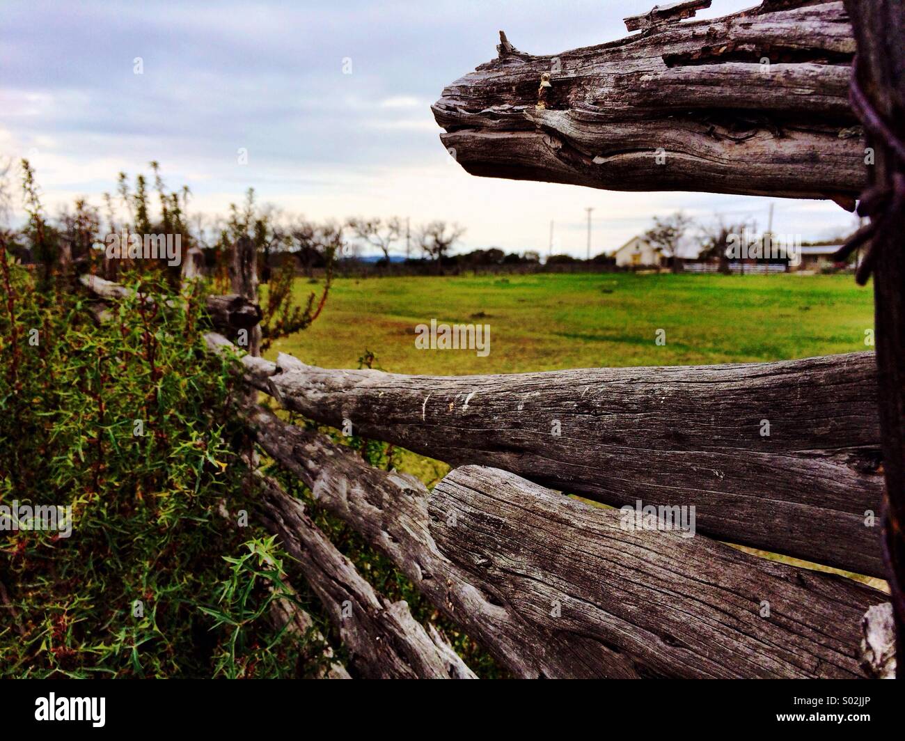 Old Western Fence Wood