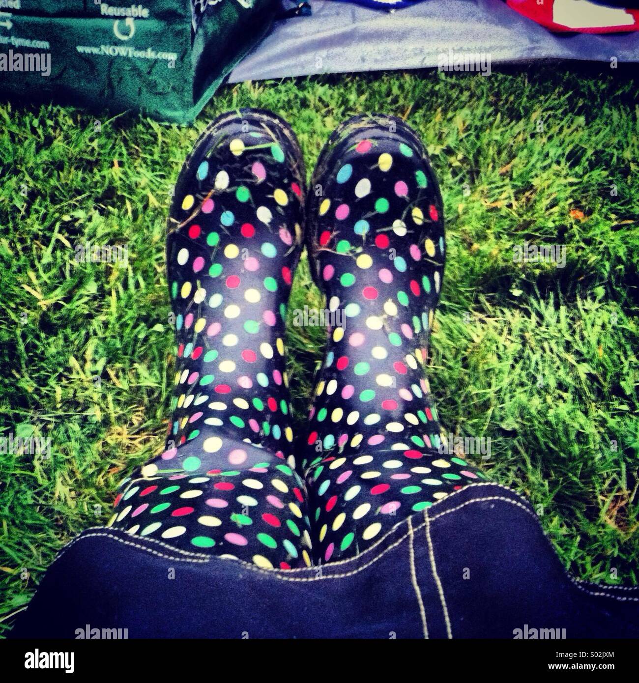 Polka dots in the green green grass Stock Photo - Alamy