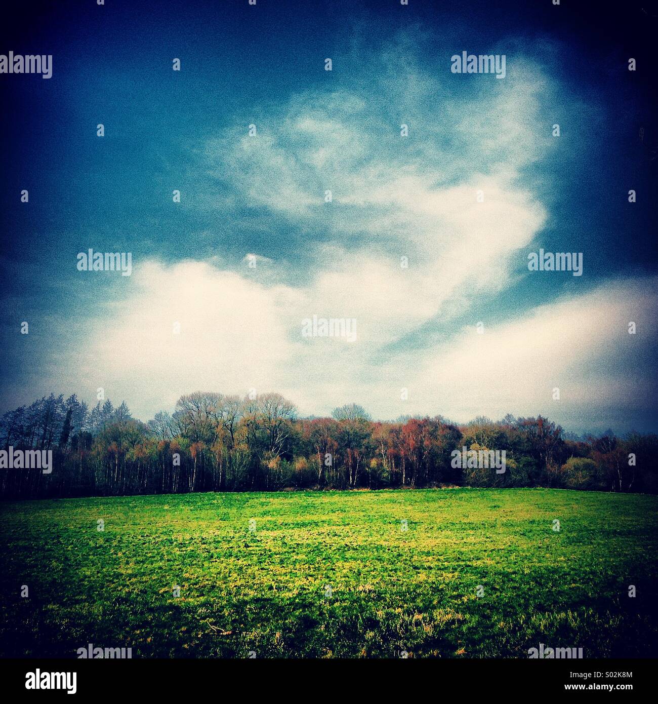 English_countryside hi-res stock photography and images - Alamy