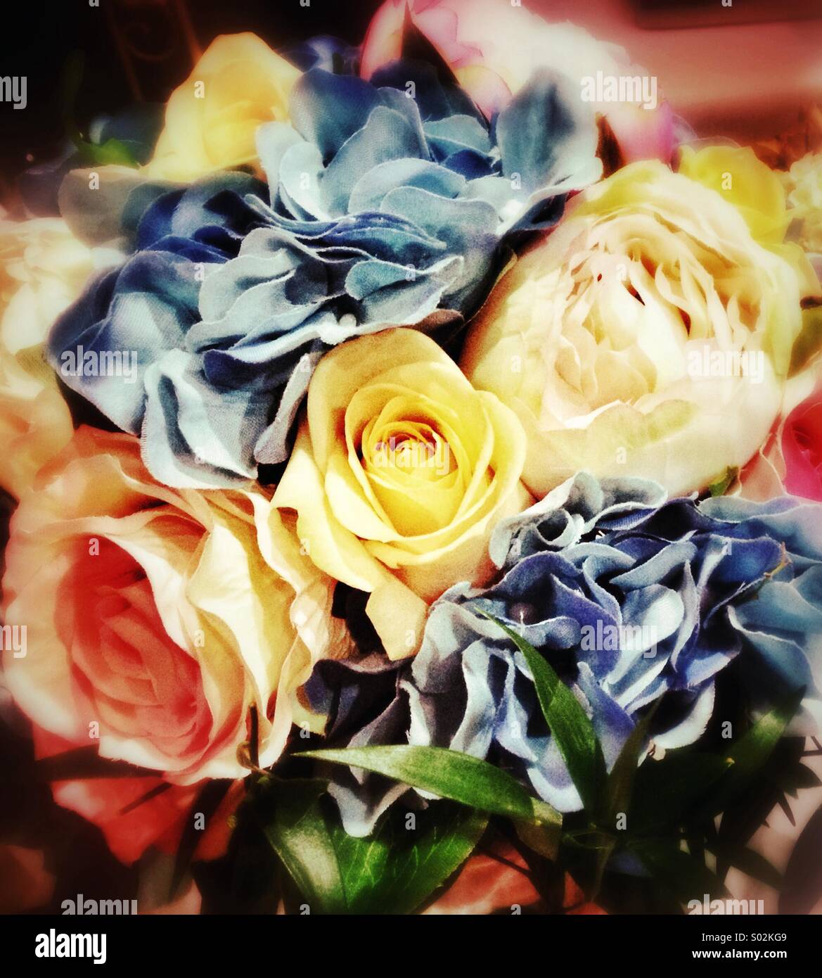 Multiple roses hi-res stock photography and images - Alamy