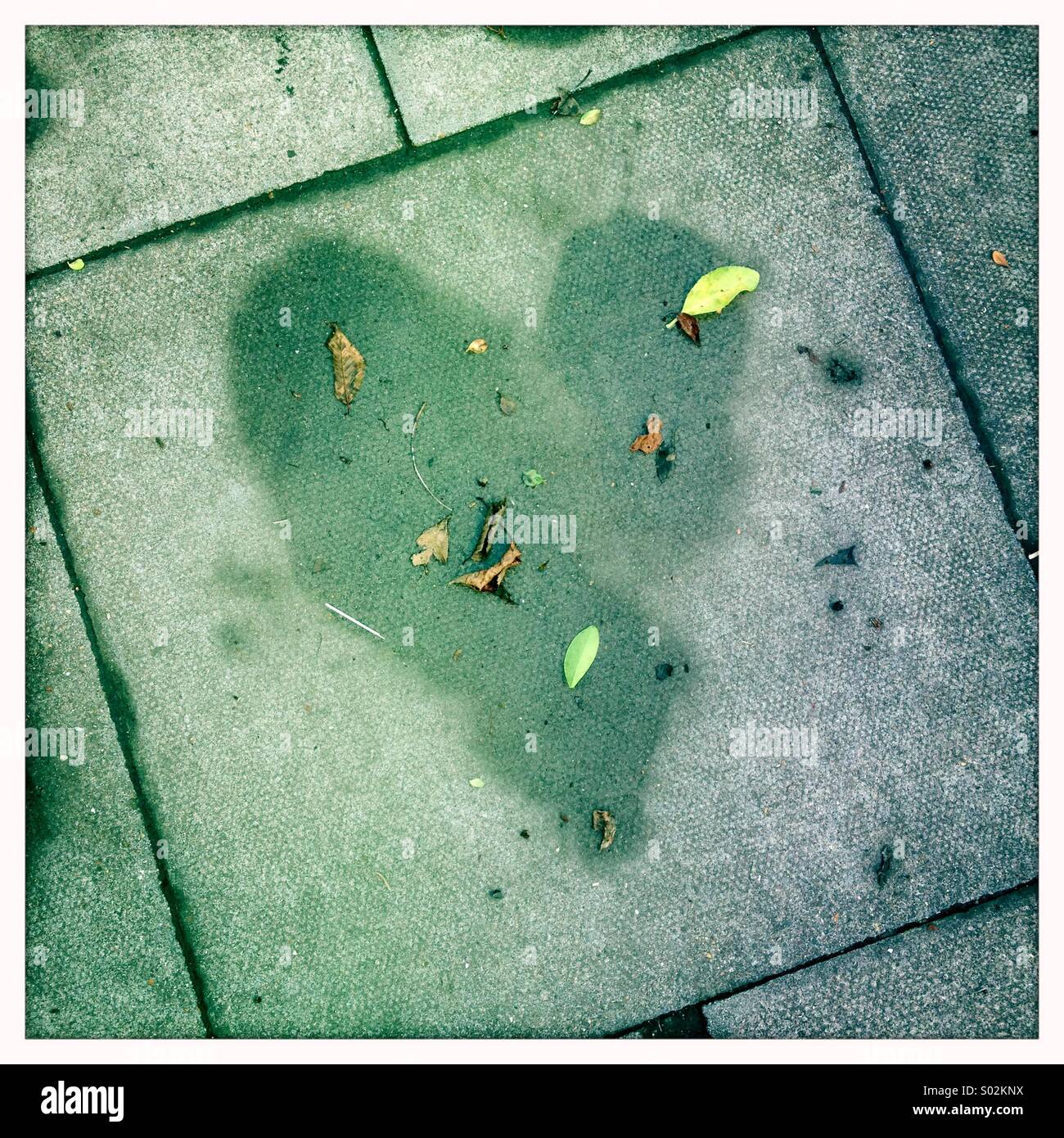 Heart shadow on pavement Stock Photo - Alamy