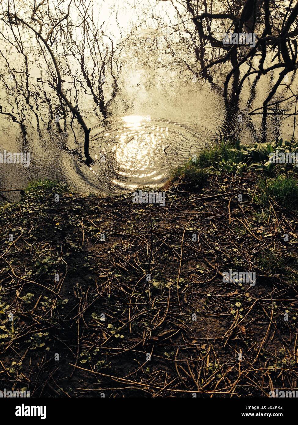 Splash in river hi-res stock photography and images - Alamy