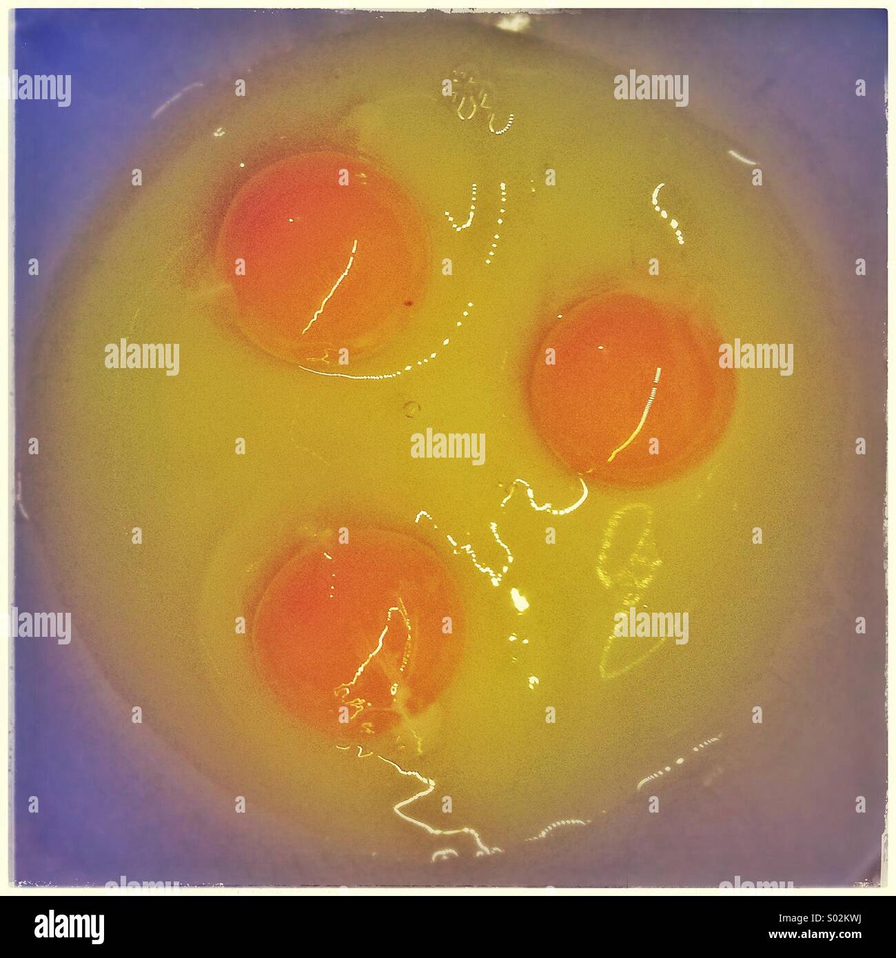 Three egg yolks Stock Photo - Alamy