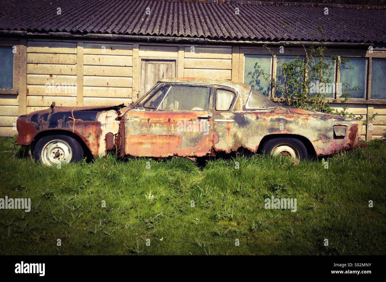 Very rusty Studebaker car Stock Photo - Alamy