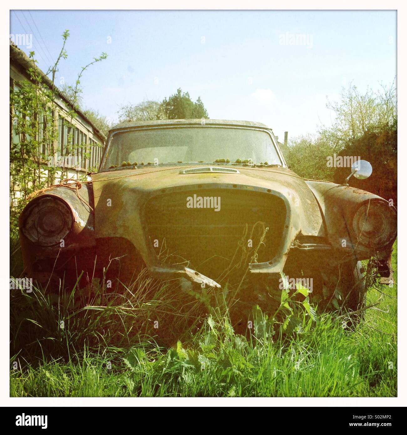 Very rusty Studebaker car Stock Photo - Alamy