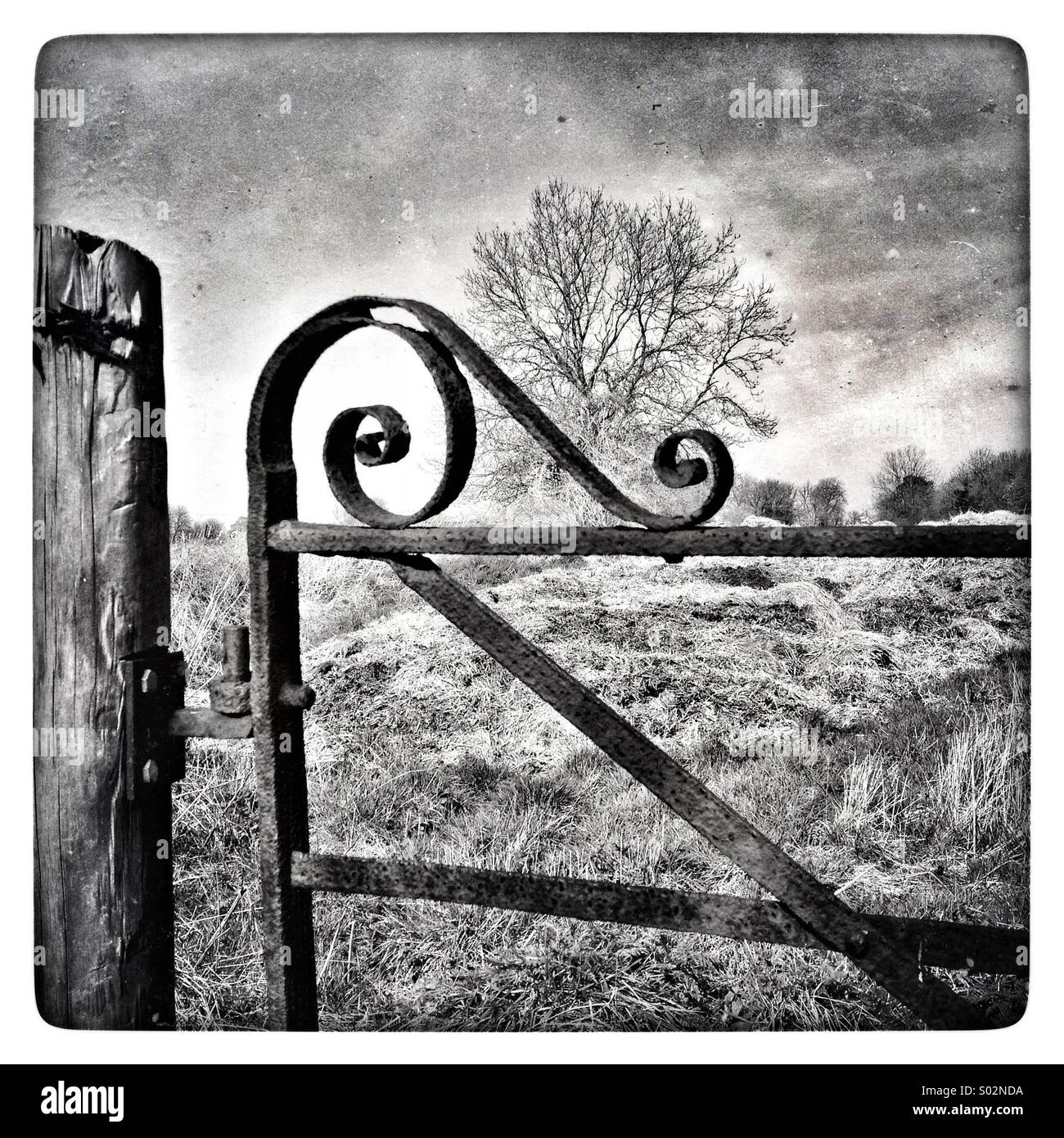 Iron farm gate Stock Photo - Alamy
