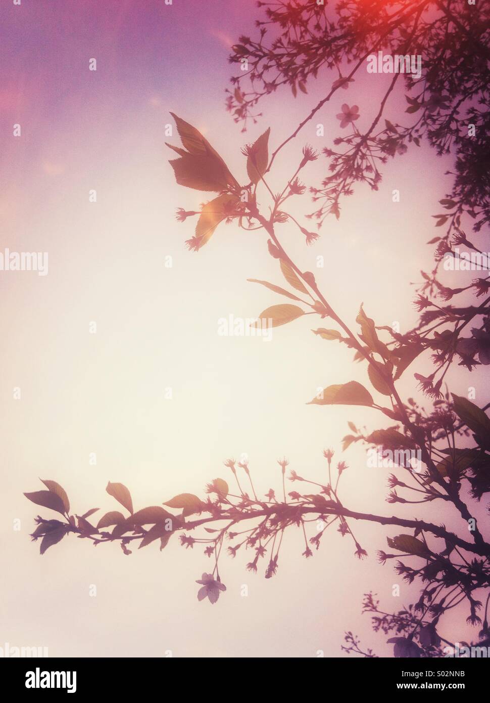 Spring the season hi-res stock photography and images - Alamy