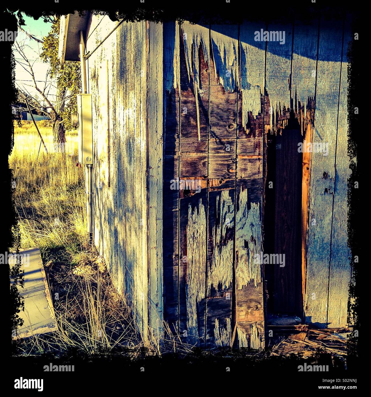 Abandoned shack hi-res stock photography and images - Alamy