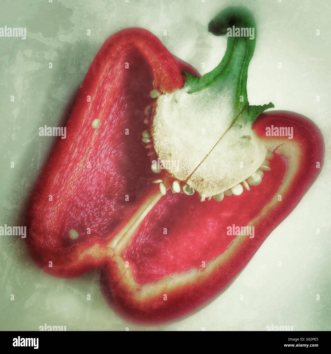 Bell stem hi-res stock photography and images - Alamy