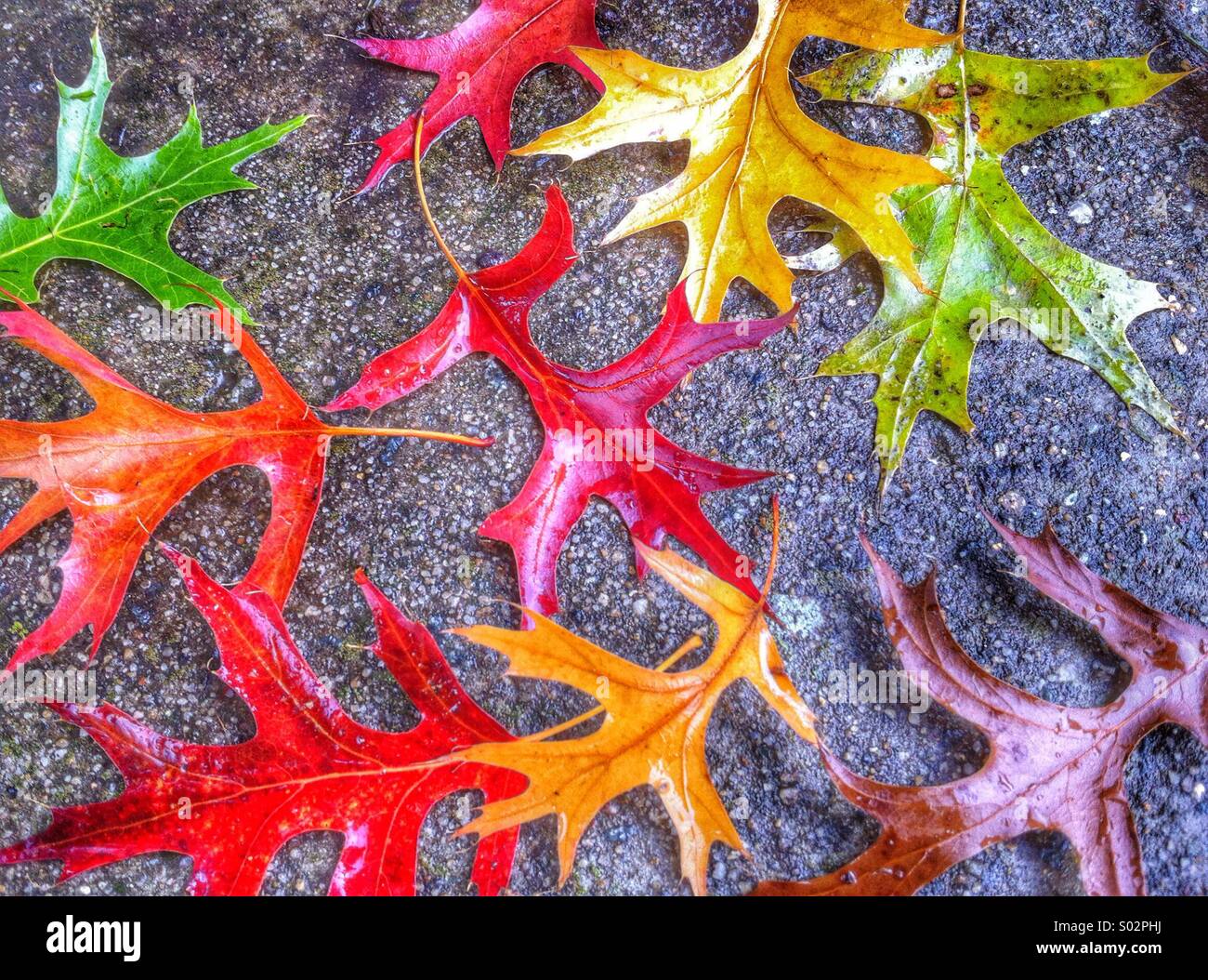 Outdoor outdoors color colors colour colours hi-res stock photography ...
