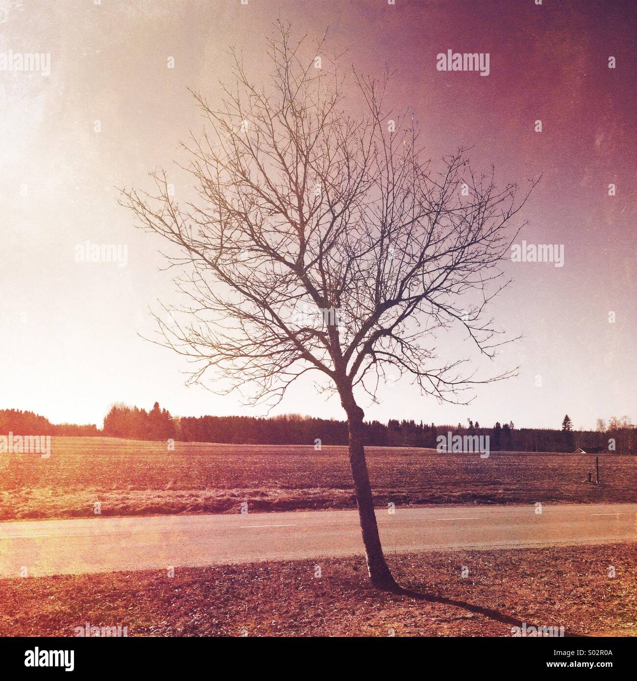 Shades of brown hi-res stock photography and images - Alamy