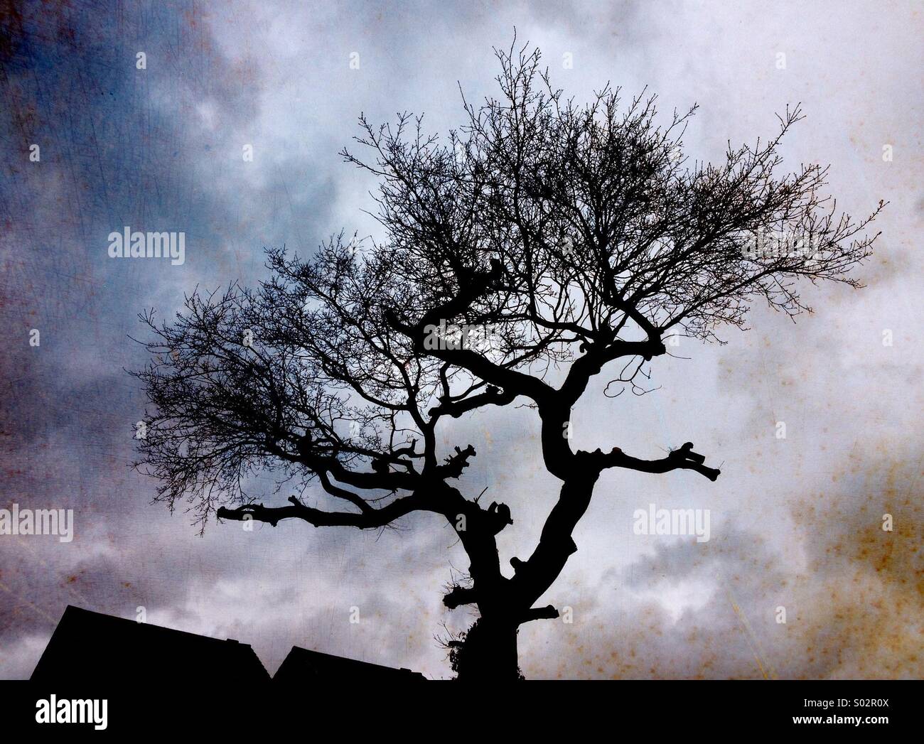 Dramatic texture hi-res stock photography and images - Alamy