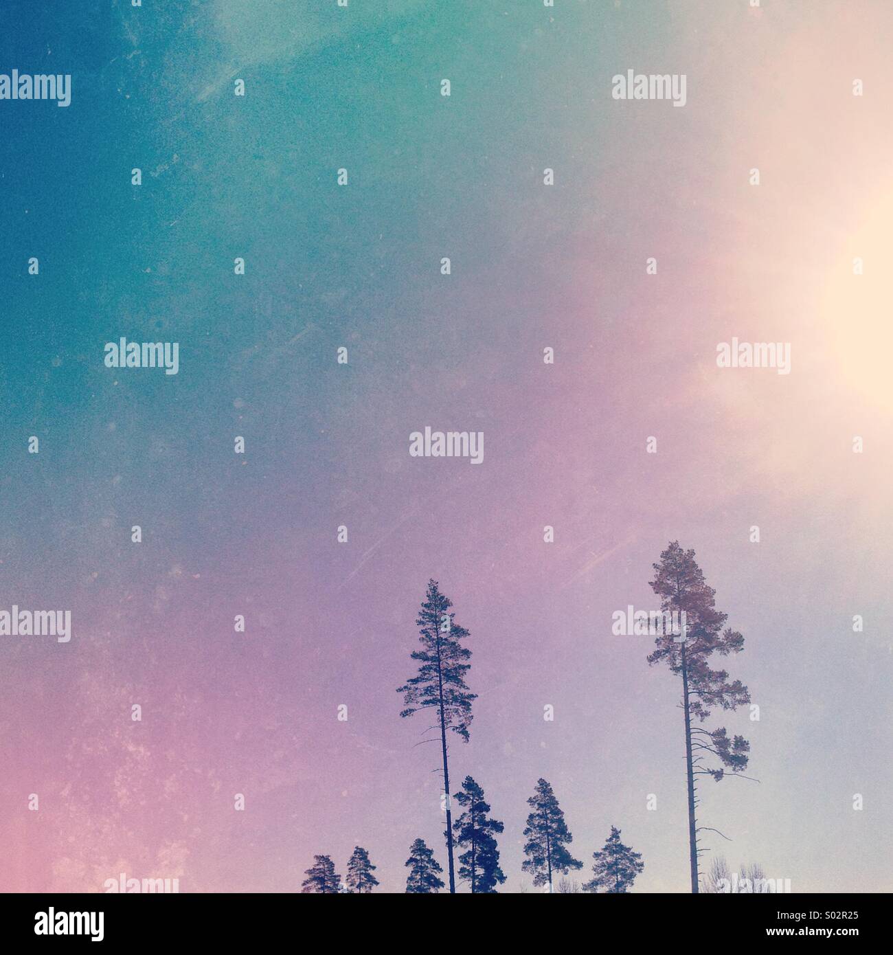 Textured trees hi-res stock photography and images - Alamy