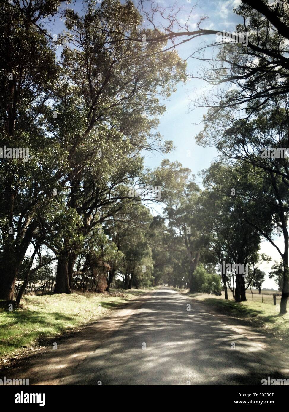 Outback country road track hi-res stock photography and images - Alamy