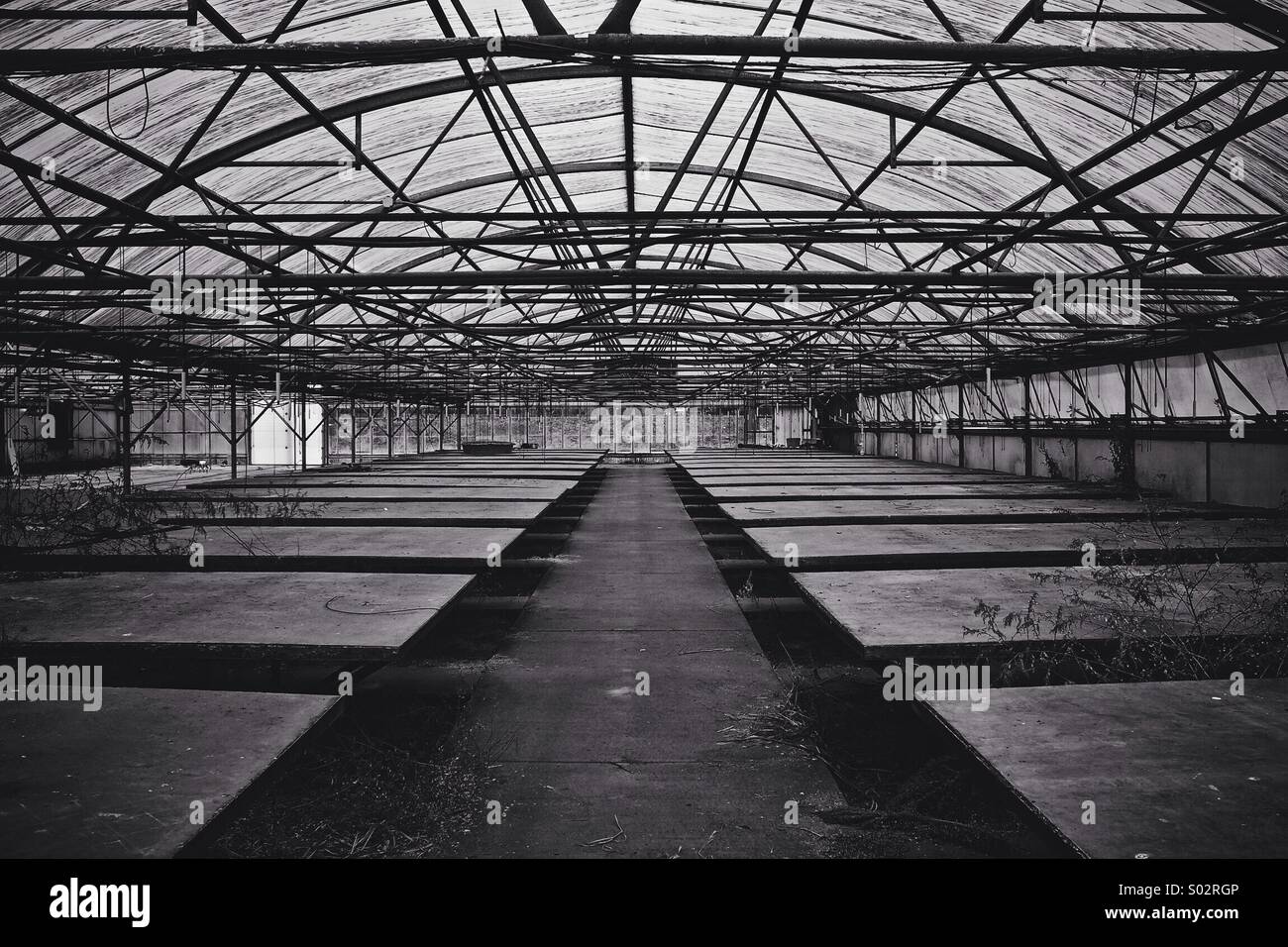 Tunnel vision hi-res stock photography and images - Alamy