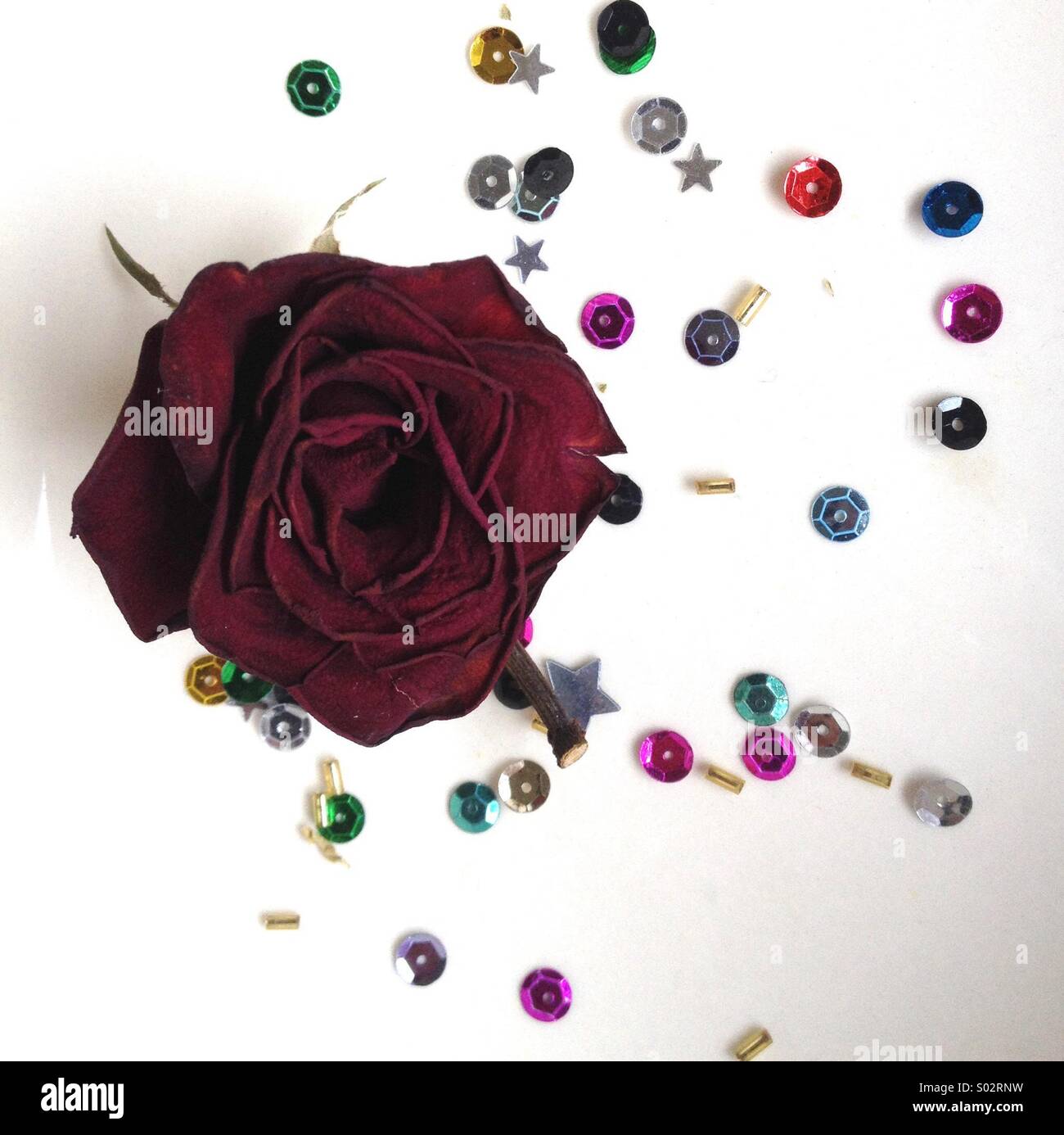 Red rose with confetti hi-res stock photography and images - Alamy