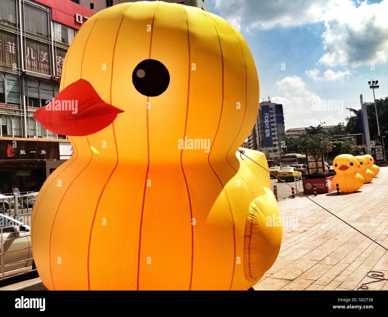 Big duck hi-res stock photography and images - Alamy