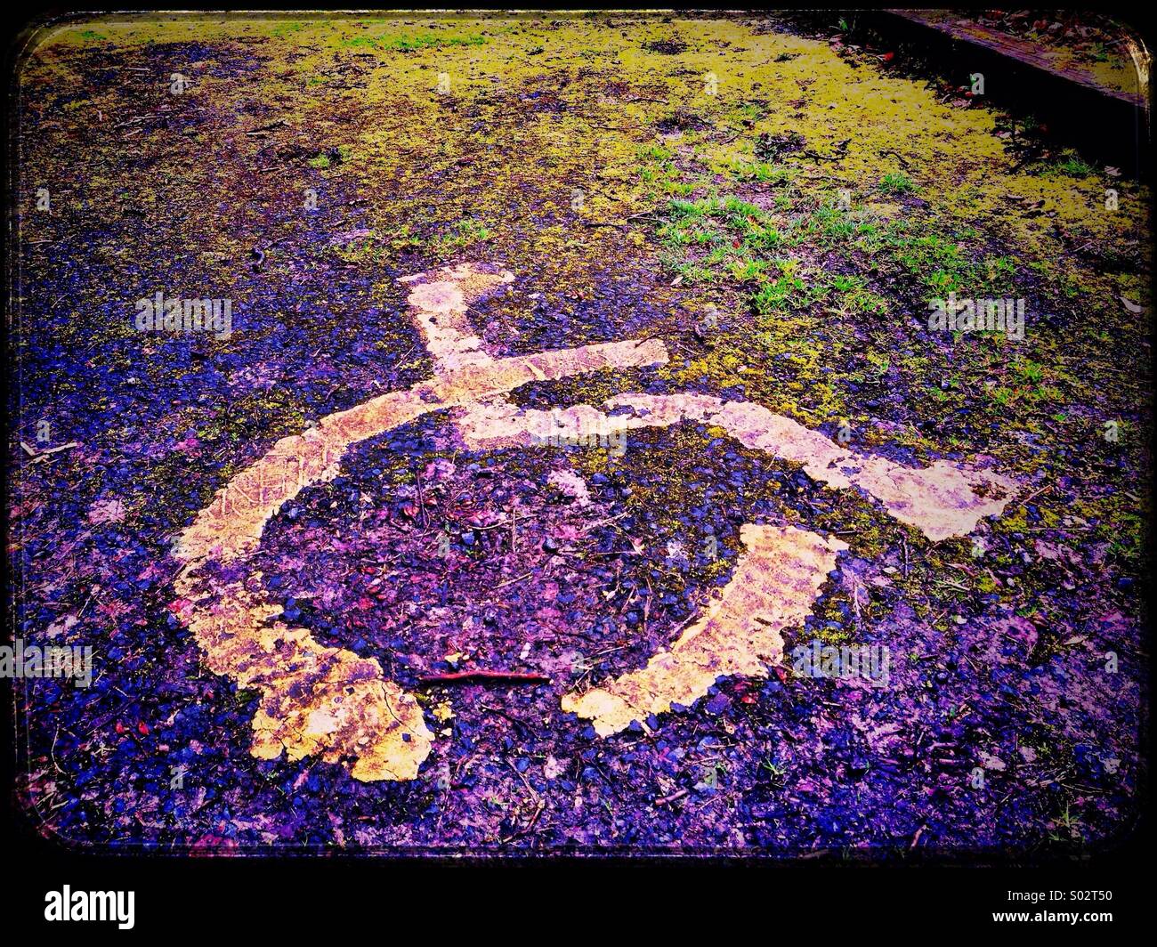 Disabled bay in car park overgrown with moss Stock Photo - Alamy
