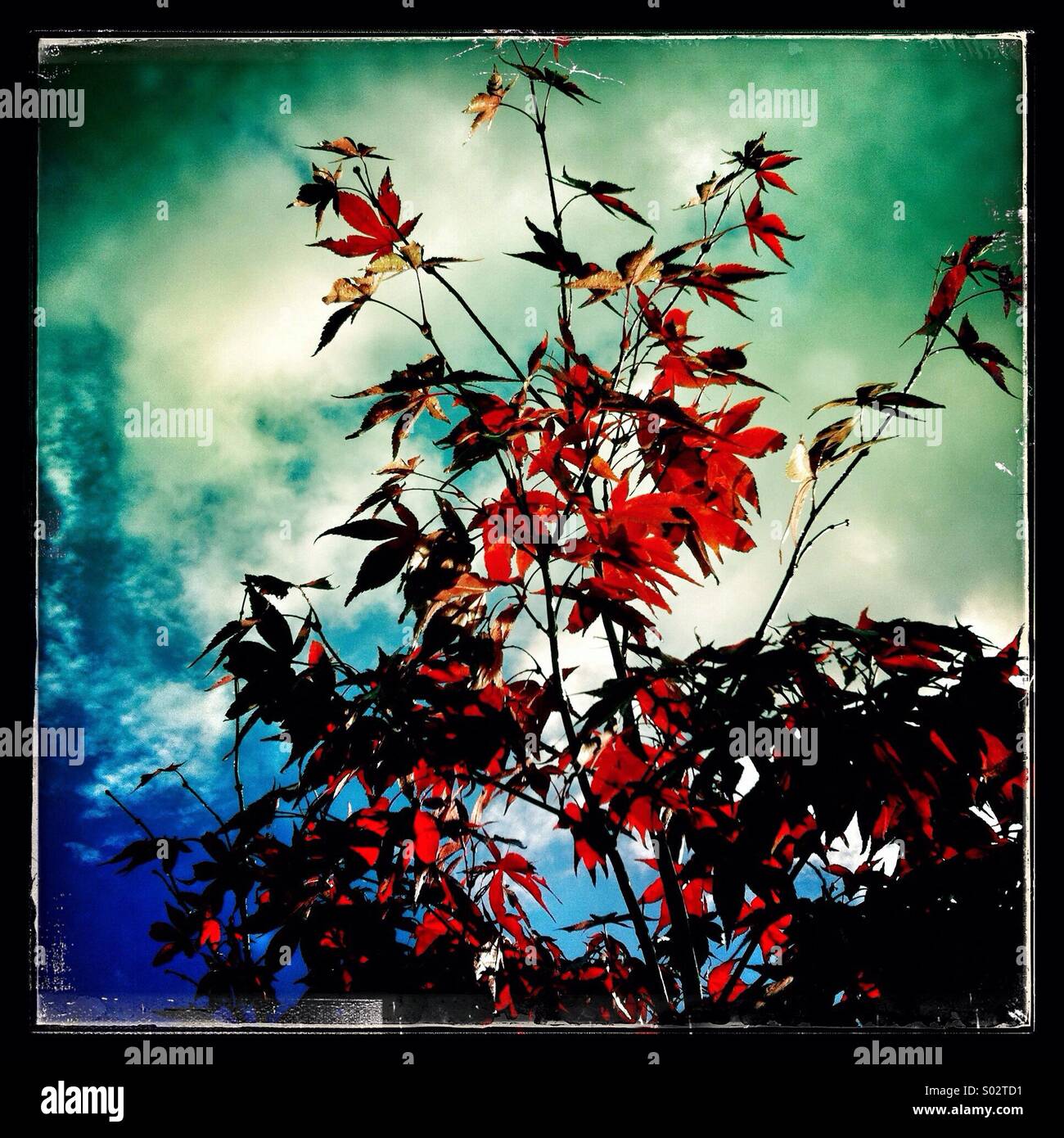 Acher hi-res stock photography and images - Alamy