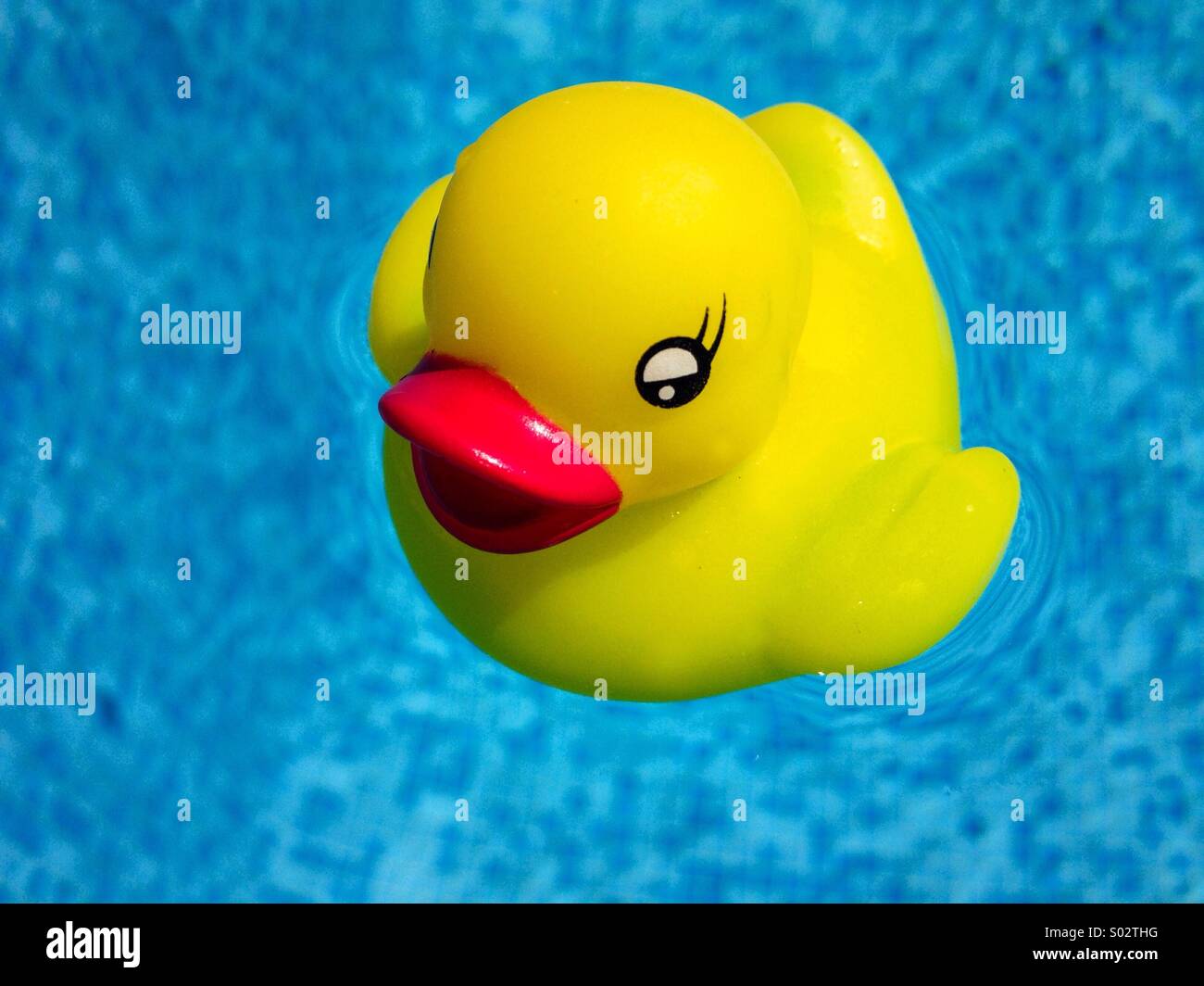 Pool water yellow duck hi-res stock photography and images - Alamy