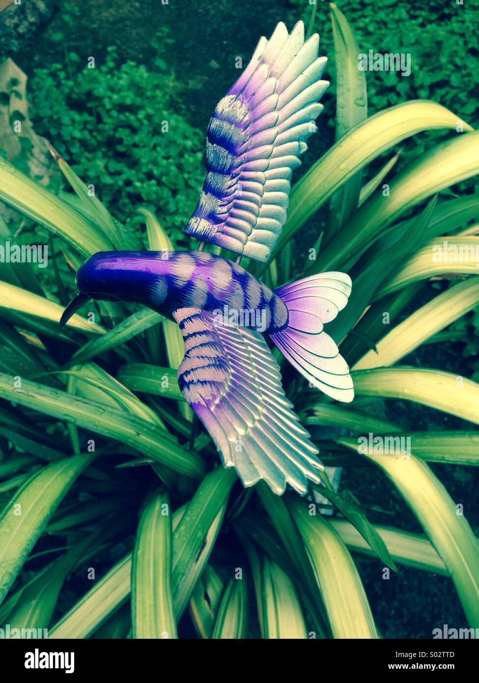 Bird multicoloured garden ornament in a plant Stock Photo - Alamy